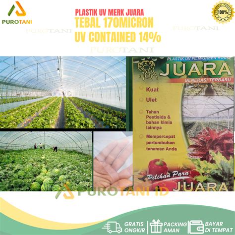 Jual Plastik Yupi 5m Greenhouse Uv 14 170 Mikron Lebar 5m