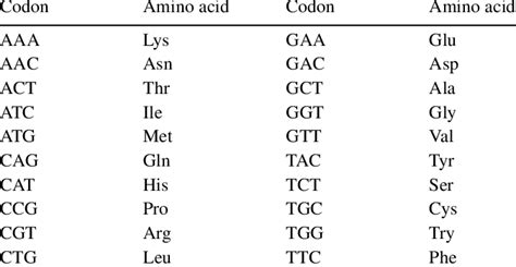 The Structure Of Trinucleotide Phosphoramidites Synthesized The