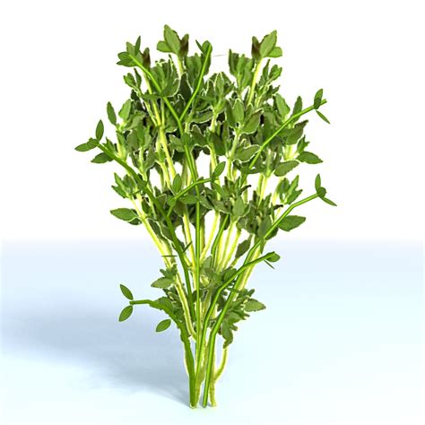 Full Size Bed With Thyme Sheets V1 Free 3d Model Obj Stl Free3d