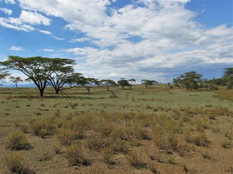 African Climate And Environment Centre Future African Savannas Afas
