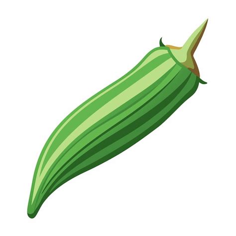 Okra Clip Art Okra Clipart Vector Images