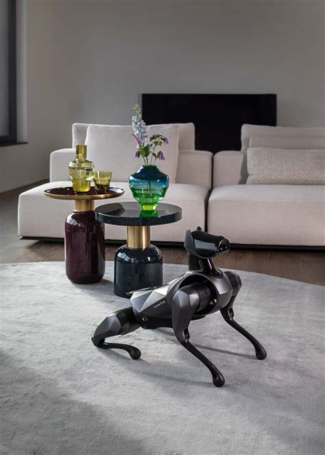 Jungvirt X Xiaomi Vila Époque František Jungvirt