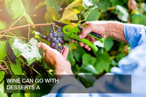 6 Tips On Pairing Exciting Wines With Your Favorite Foods Food Magazine