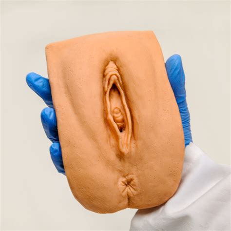 Catheterization Model PulseMDM