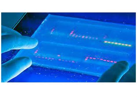 Ethidium Bromide Ar At ₹ 1619 Gram Mumbai Id 2853321263248