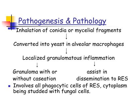 Systemic Mycosis Ppt