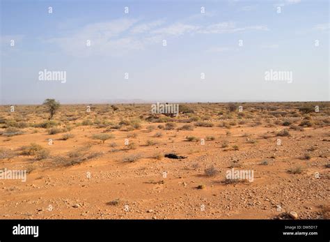 Semi Arid Strip
