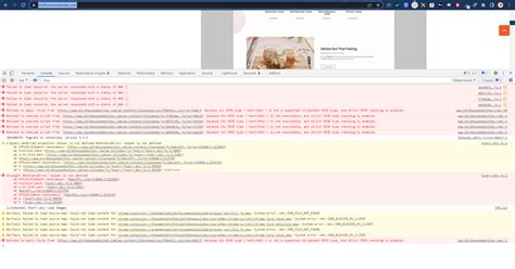 Lightspeed Console Errors Broken Layout