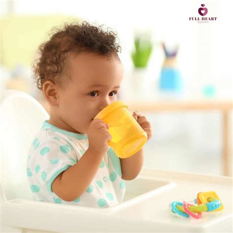 When Do Babies Learn To Drink From A Straw Full Heart Mommy