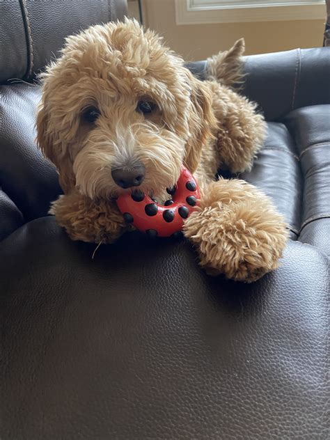 Peterson Eight Cuteness Alert