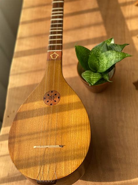 Special Shabake Model Setar By Malekshahi