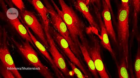 Which Single Cell Analysis Tool Is Best Scientists Offer Advice United States