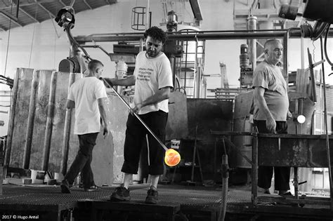 Wired Glass All You Need To Know