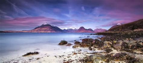 How To Make Image Responsive In Bootstrap Code Helpers