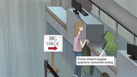 Acyclovir Valacyclovir Famciclovir Free Sketchy Medical Lesson