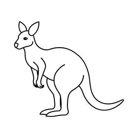 Premium Vector Kangaroo Vector Set Front View