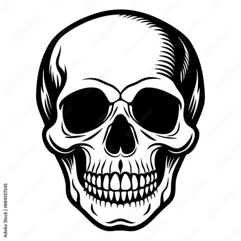 Skull Head Vector Illustration Printable Skull Head Vector Graphics