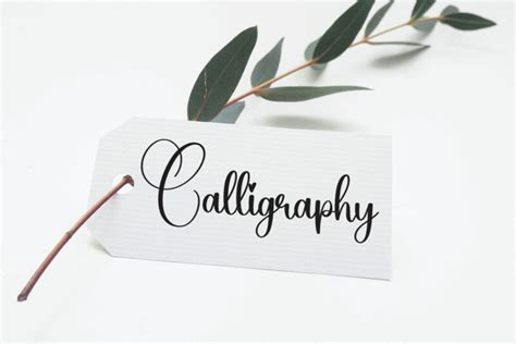 Inside Script Font Download Free Font