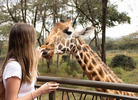 Exploring The East Africa Highlights Kenya And Tanzania With Intrepid