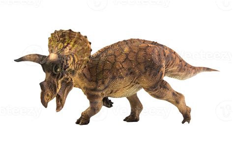 Triceratops Dinosaurio Sobre Fondo Blanco Trazado De Recorte 8843884 Png