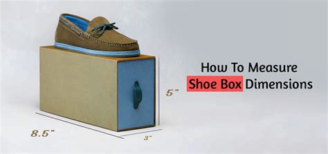 Authentic Guide On Shoe Box Dimensions