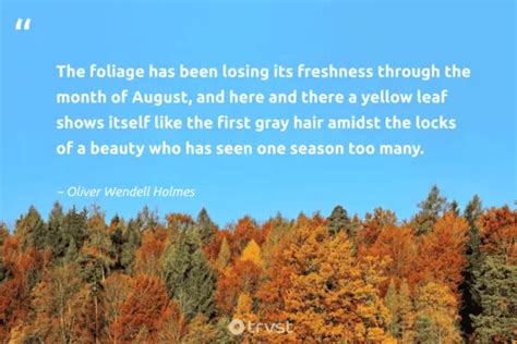 35 Inspiring Leaf Quotes To Get You Through The Seasons