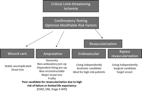 Management Algorithm For The Patient Presenting With Chronic