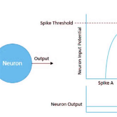neuron with two closely timed input spikes generate output spikes