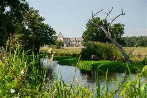 Legendary Nikon D700 Review 12mp Dslr Mpb