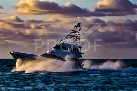 Patrick J Daly Commercialeditorial