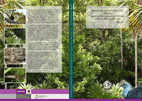 Programa De Conservación Y Manejo Área De Protección De