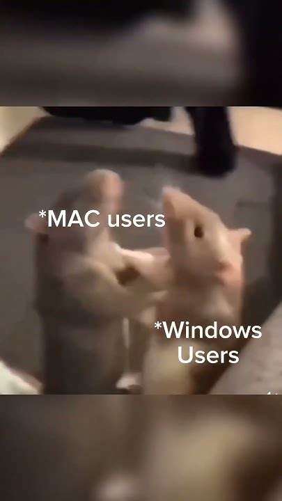 Linux Be Like Lemme Just Keep Quiet Kalilinux Youtube