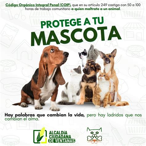 Cuida Y Protege A Tu Mascota Gobierno Autónomo Descentralizado