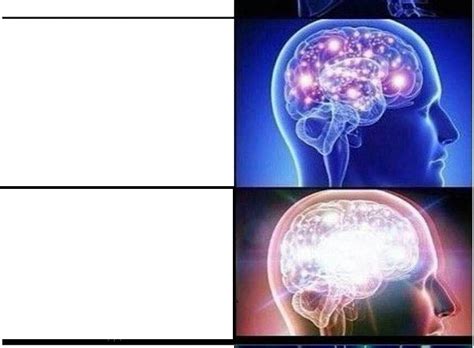 Brain Levels Meme Template Flyer Template