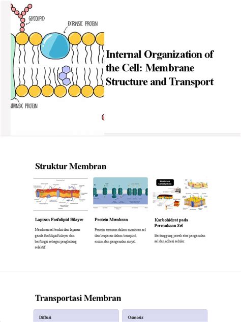 Internal Organization Of The Cell Membrane Structure And Transport Pdf