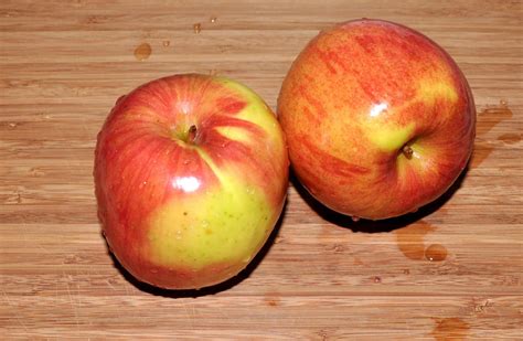 Luna Moth Caterpillar Identification Walter Reeves The Georgia Gardener