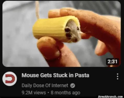 How Is This Mouse Stuck In Pasta Breakbrunch