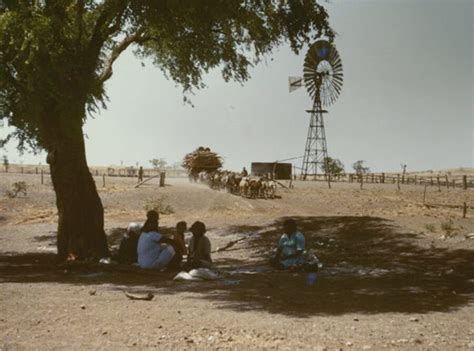 Defining Moments In Australian History Wave Hill Walk Off Australian