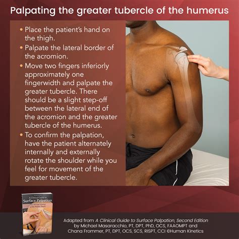 Greater Tubercle Of Humerus Palpation