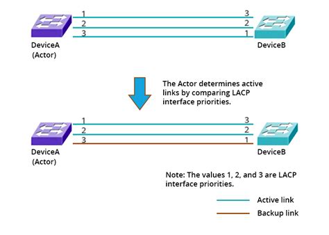 What Is Lacp Qsfptek Glossary
