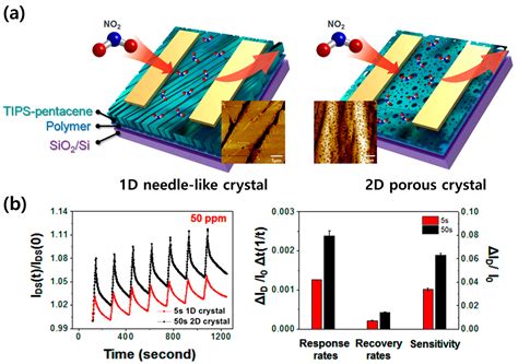 Enhancing Sensitivity In Gas Detection Porous Structures In Organic Field Effect Transistor