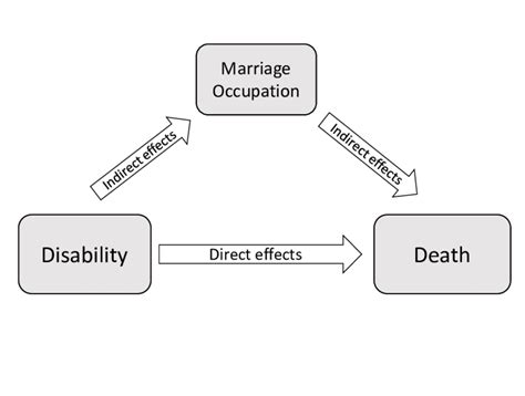 A Model Illustrating The Causality Of Direct And Indirect Effects