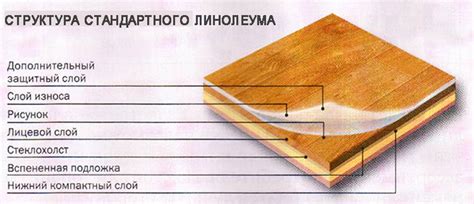 Виды линолеума: все классификации линолеума, укладка