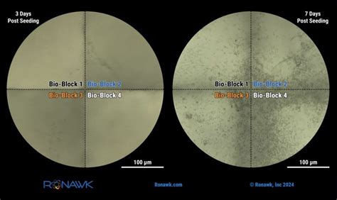 Bio Blocks 3d Substrate For Physiologically Relevant Cells Ronawk