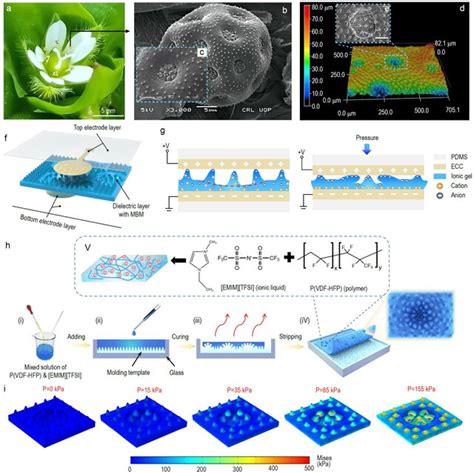 Sensitive Design Of Capacitance Sensor Dielectric Layer Surface