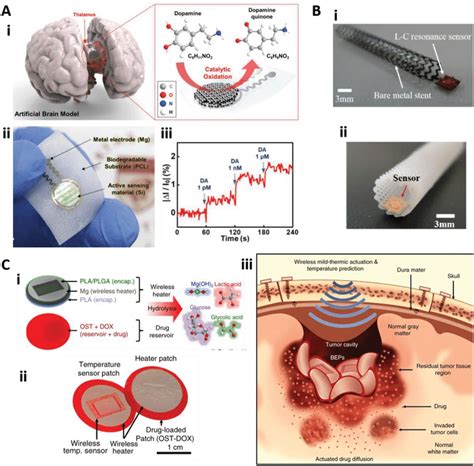 Other Applications A Implantable Dopamine Sensor System I Download Scientific Diagram