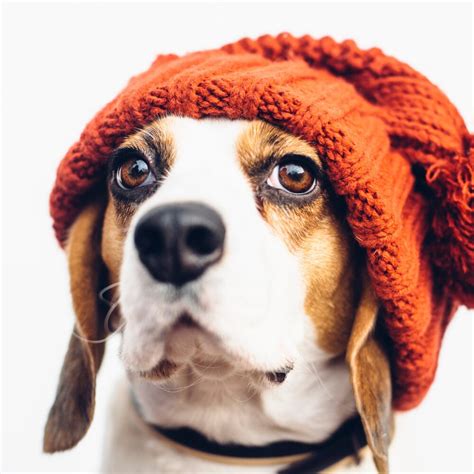 Creative Design Campaign Concept