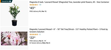 Plant Faqs Magnolia Leonard Messel