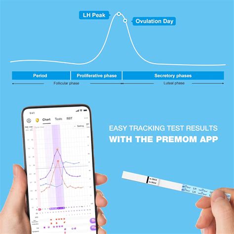 Ovulation And Pregnancy Test Strips Kit Easyhome 25 Qatar Ubuy