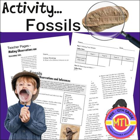 Fossils Activity My Teaching Library